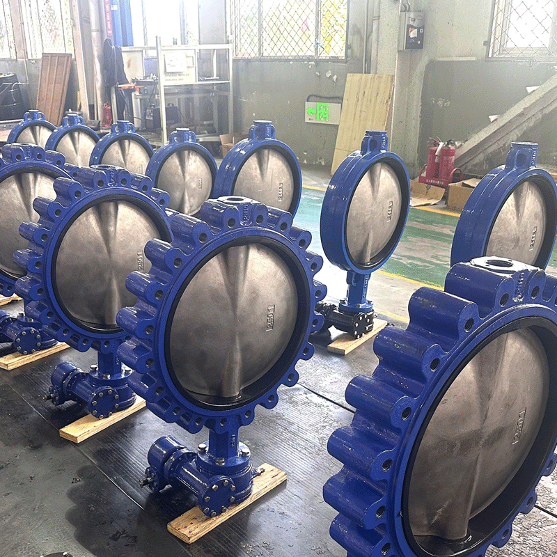 Wafer vs Lug Butterfly Valve: How to Choose – UNION VALVE