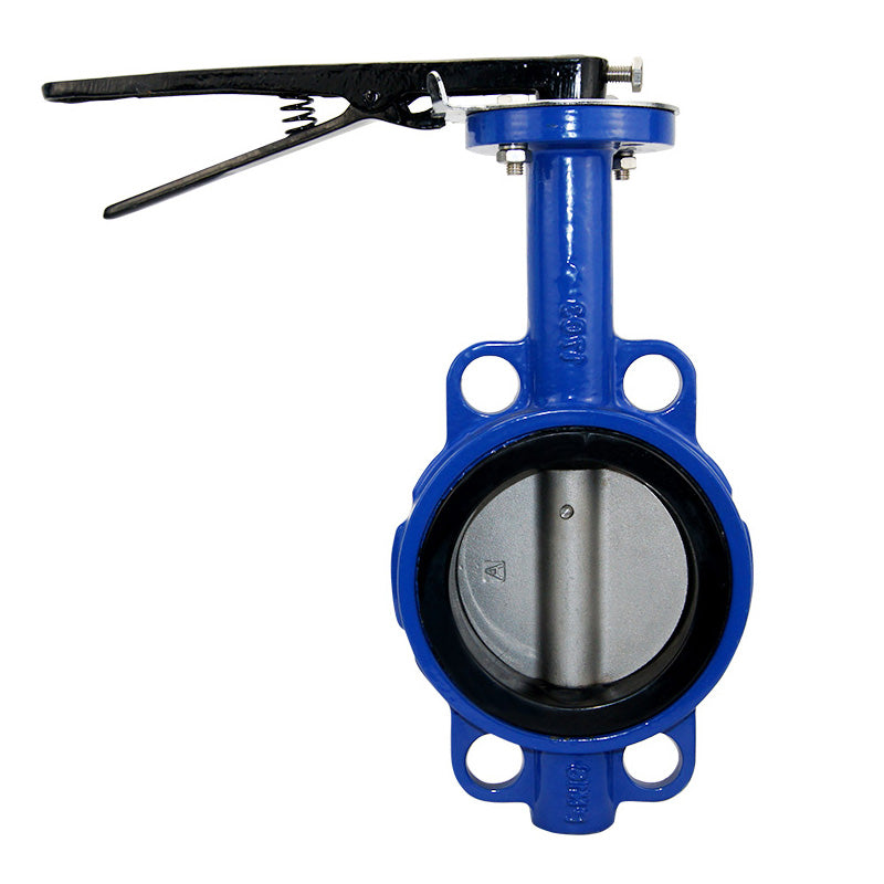 Two Commonly Used Valve Standards: ASME B16.34 and API 600 Explained ...